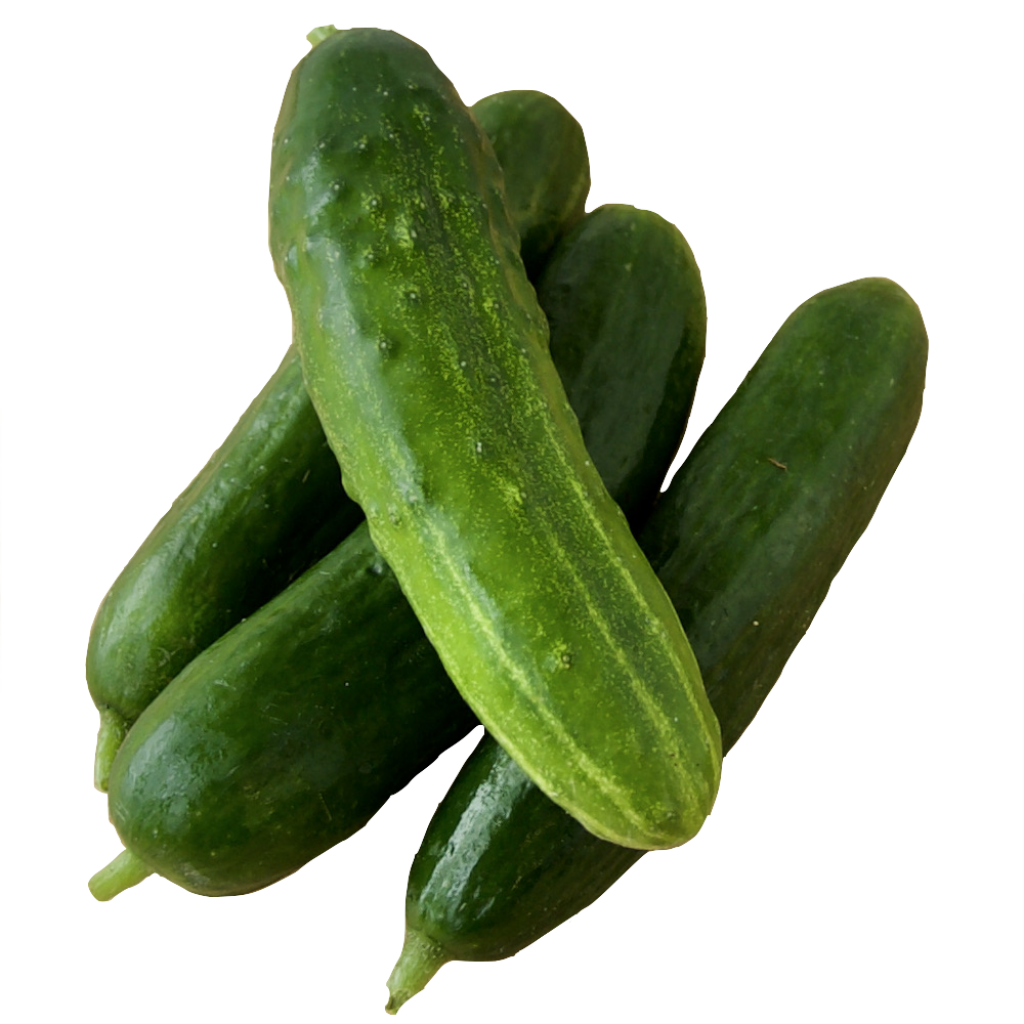 Alan Foods – All Local All Natural