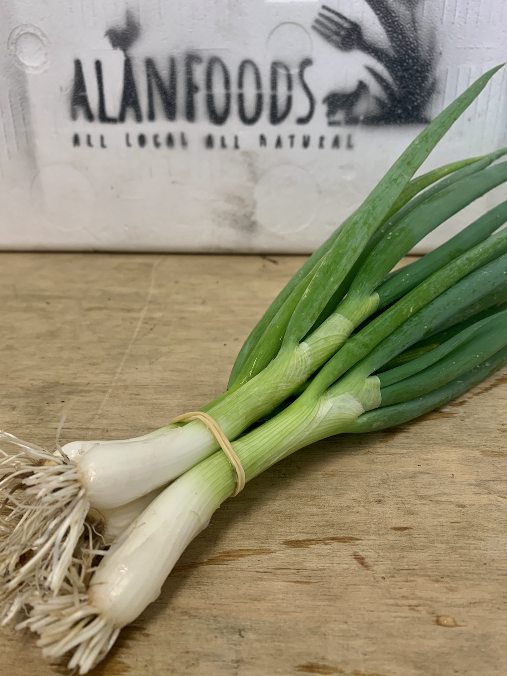 Spring Onions – Alan Foods